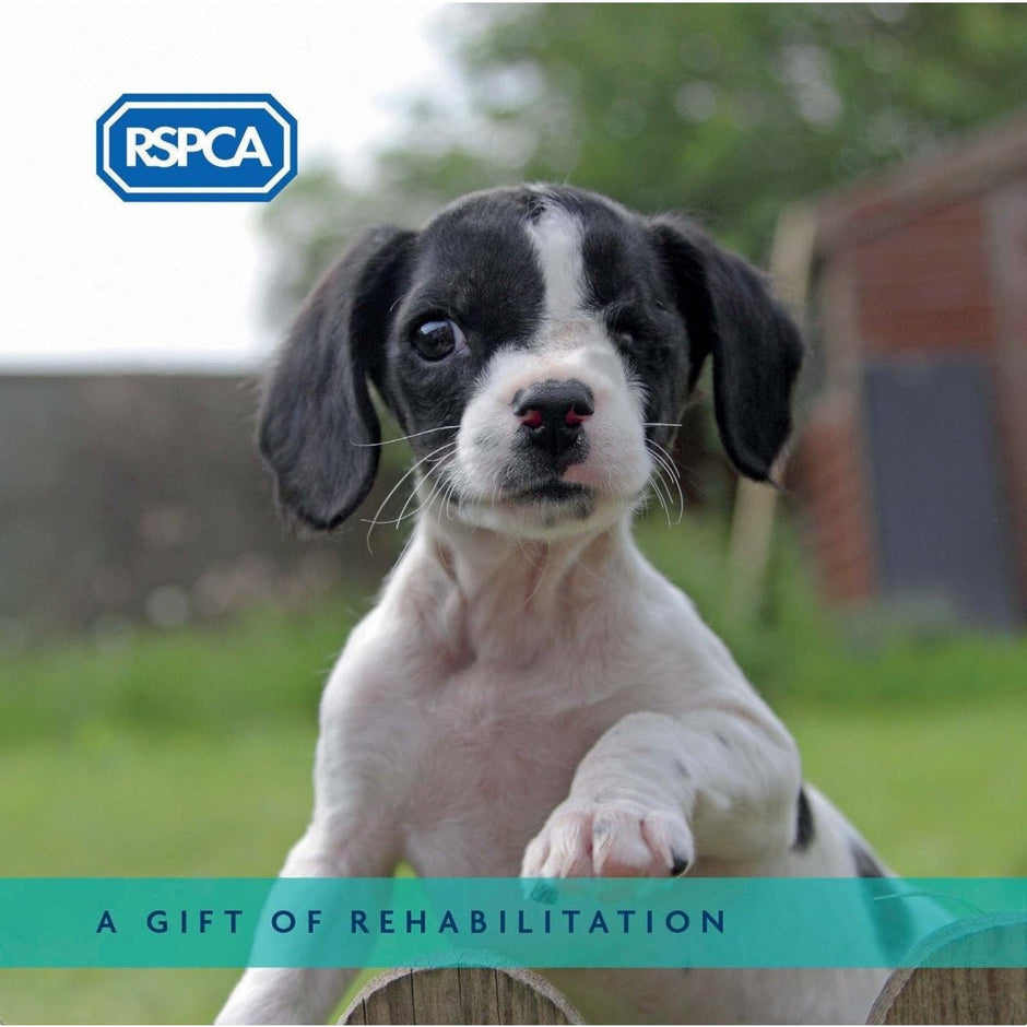 Products – RSPCA Shop