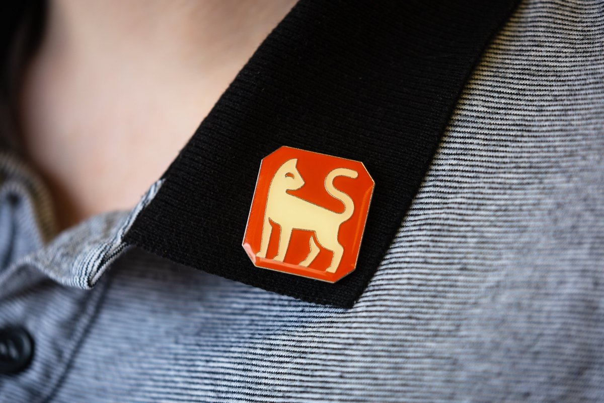 RSPCA Cat Metal Pin Badge – RSPCA Shop