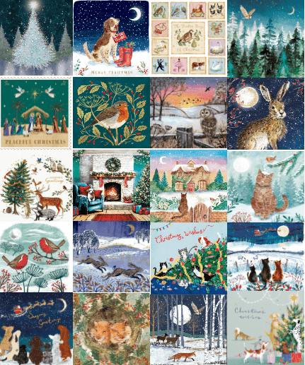 RSPCA Charity Christmas Card 2025 Variety Pack of 20 – RSPCA Shop