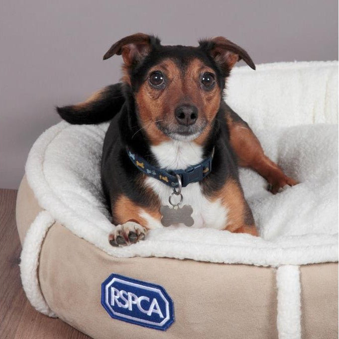 RSPCA Snuggle Dog or Cat Bed – RSPCA Shop