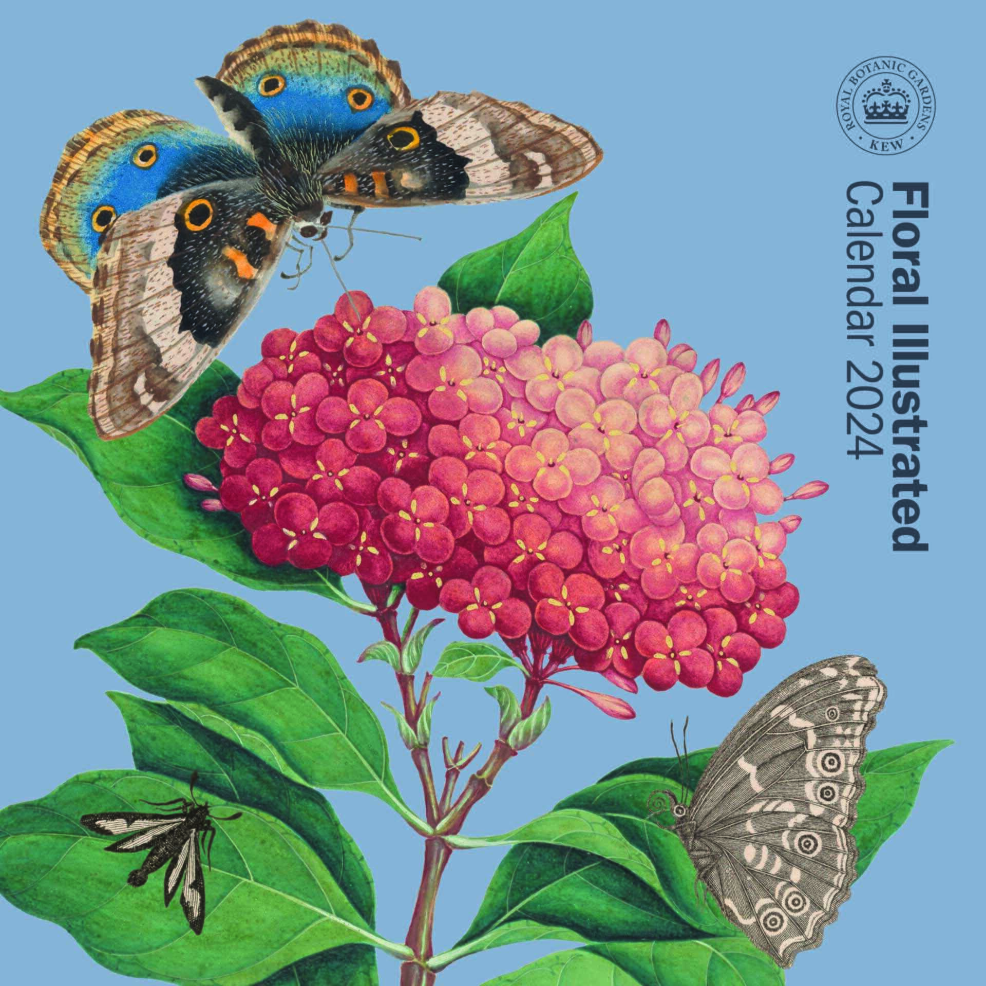 RSPCA Shop | Gifts you'll love