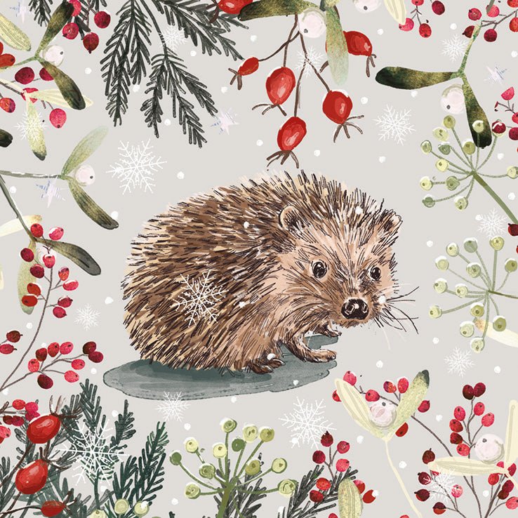 Christmas Card Sale – RSPCA Shop