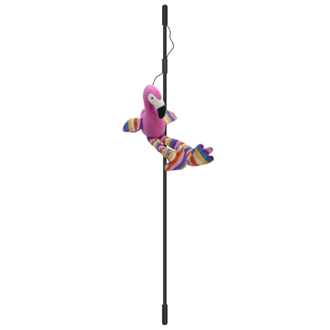 Pet Toys & Accessories – RSPCA Shop