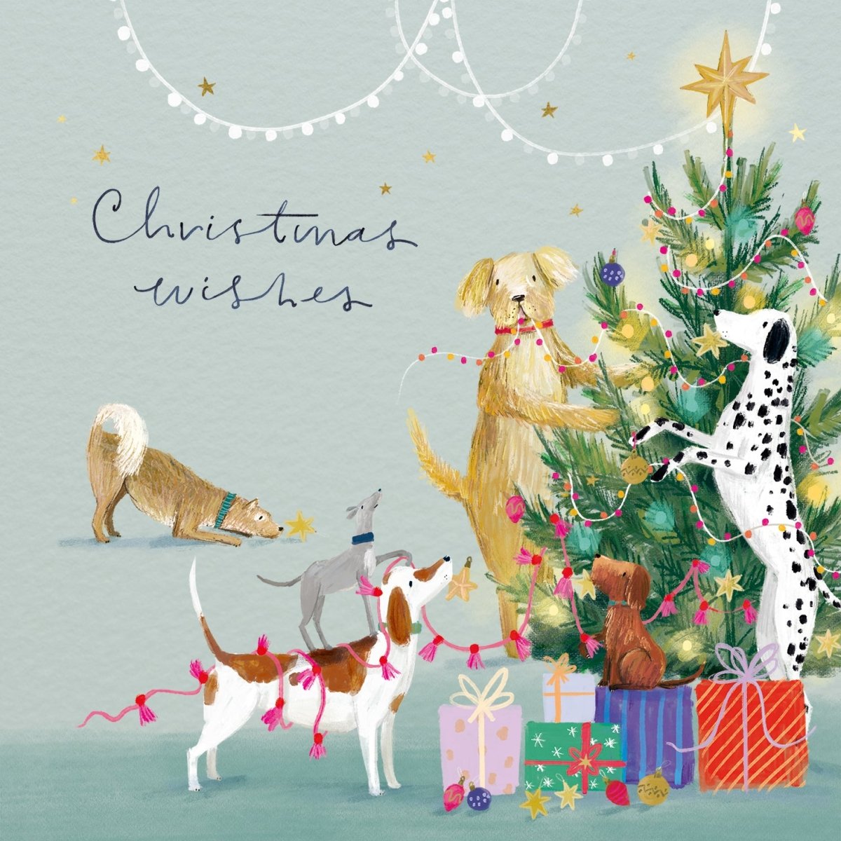 Christmas Card Range – RSPCA Shop