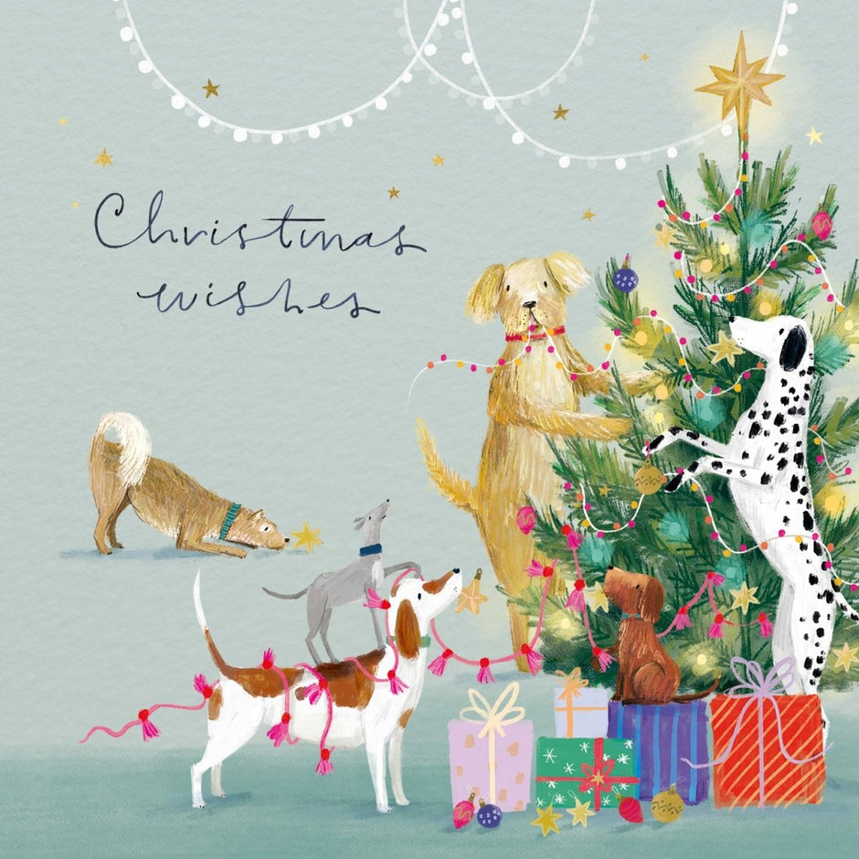 Christmas Card Range – RSPCA Shop