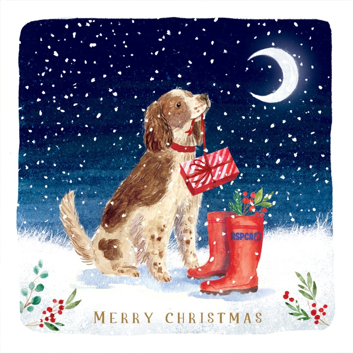Christmas Card Range – RSPCA Shop
