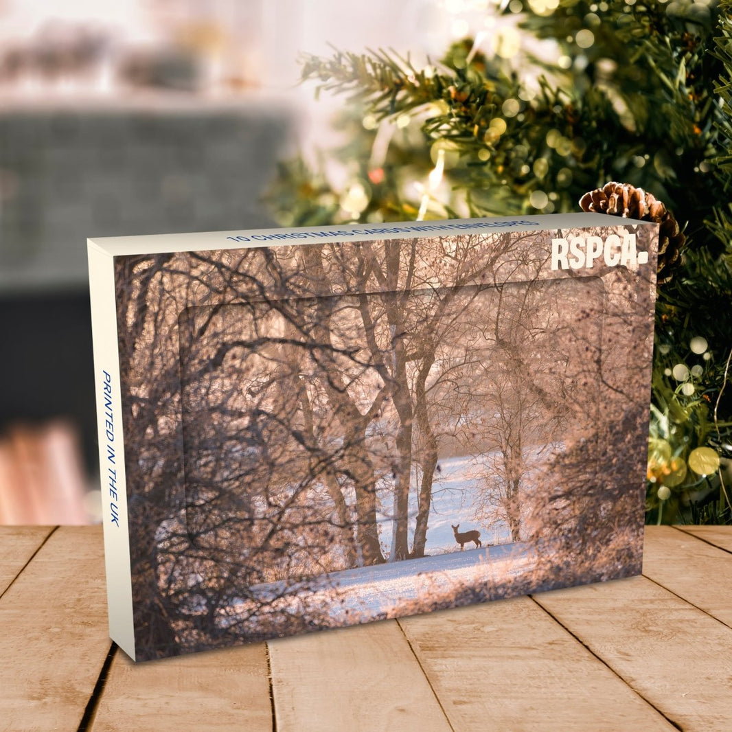 RSPCA Sale – RSPCA Shop