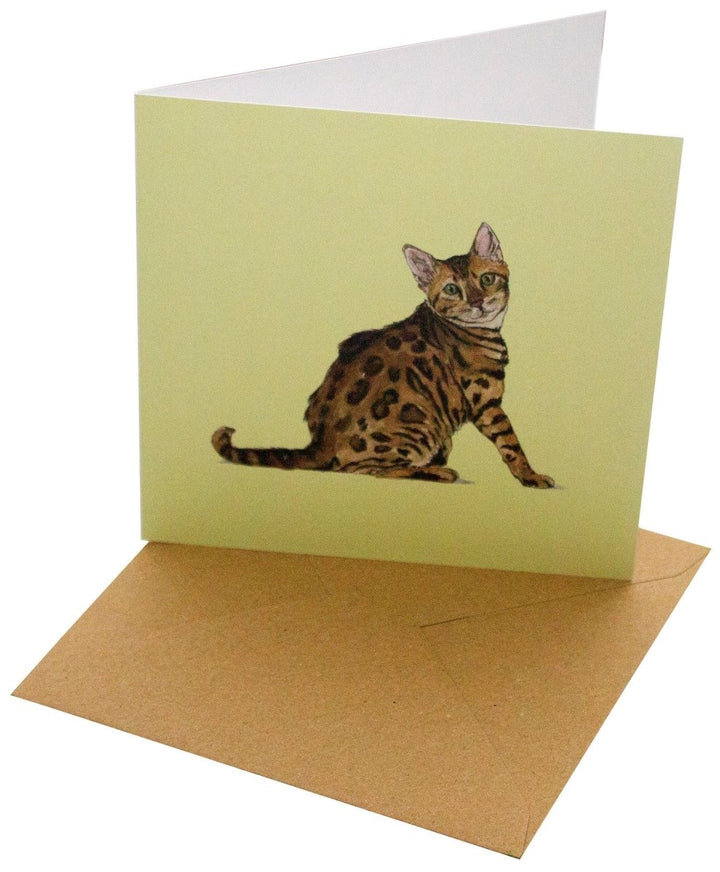 Shop All Greetings Cards – RSPCA Shop