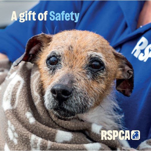 A Gift of Safety RSPCA Charity Gift Card – RSPCA Shop
