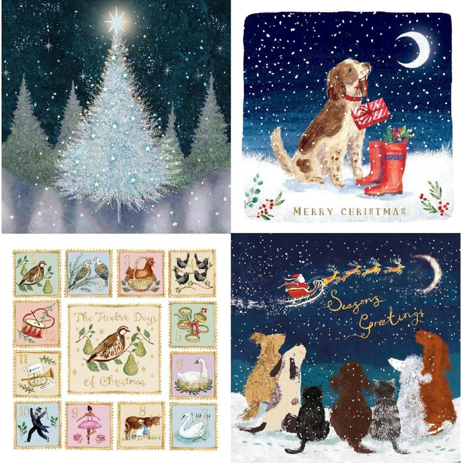 Christmas Card Range – RSPCA Shop