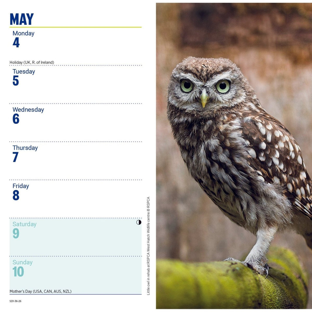 2026 Calendars and Diaries – RSPCA Shop