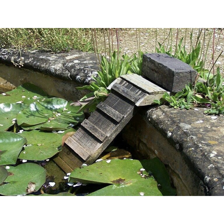 Hedgehog Ladder FSC 100% – RSPCA Shop