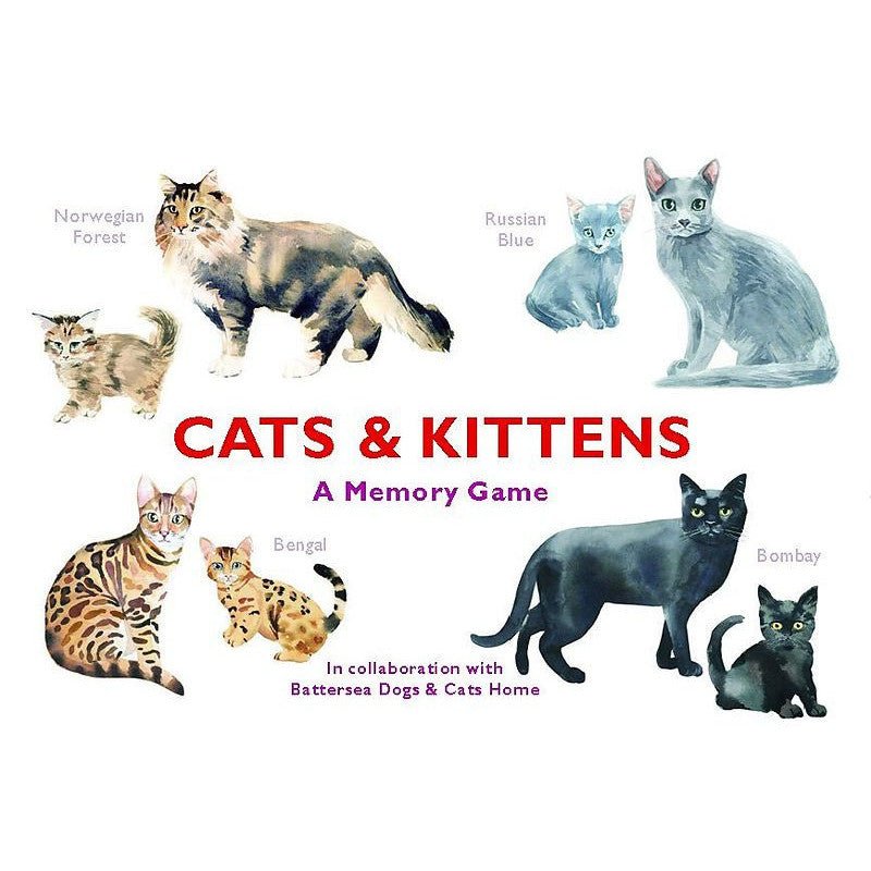 Cats And Kittens Memory Game – RSPCA Shop