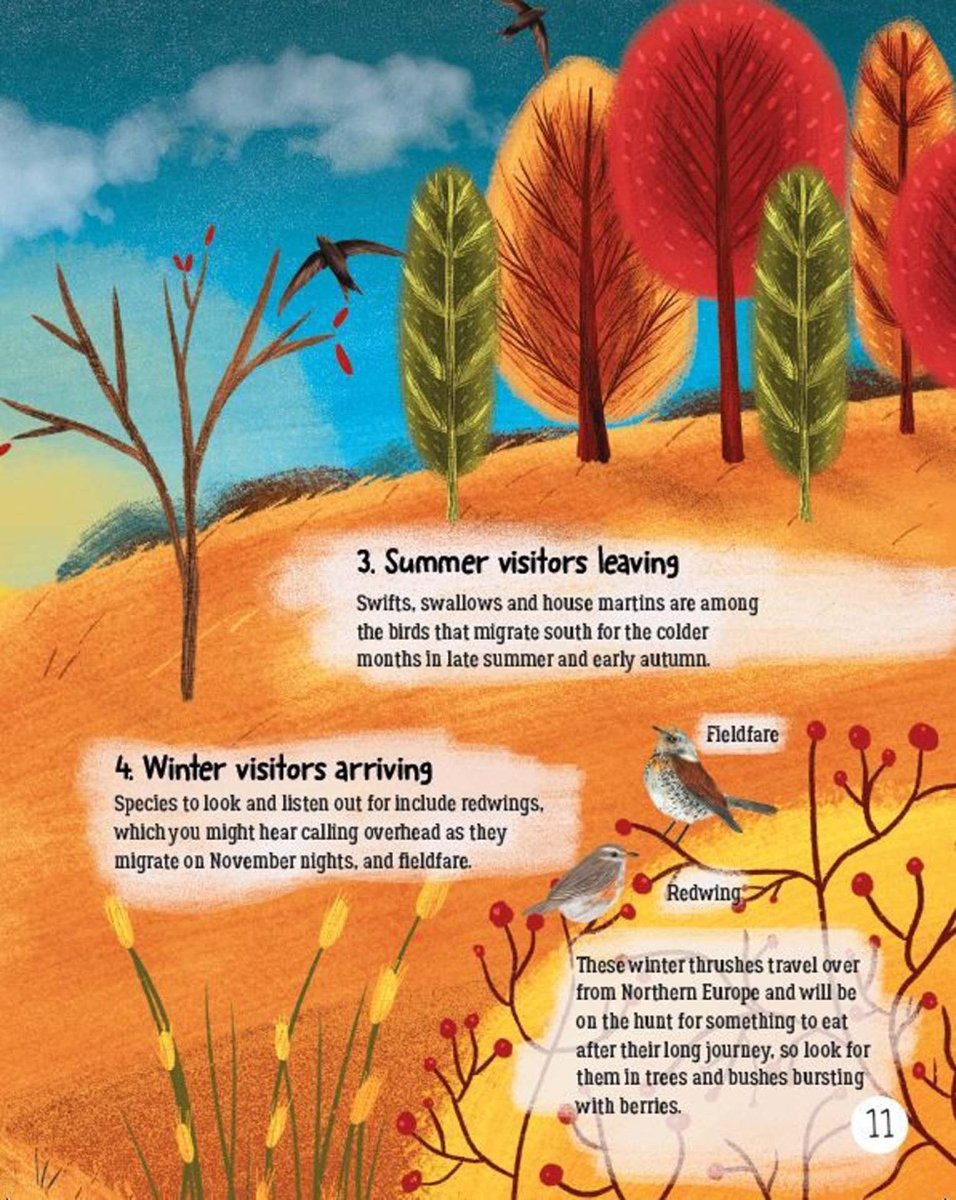 Things To Do Outdoors All Year Round Book – RSPCA Shop