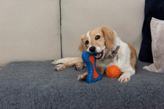 Beds and Bedding – RSPCA Shop