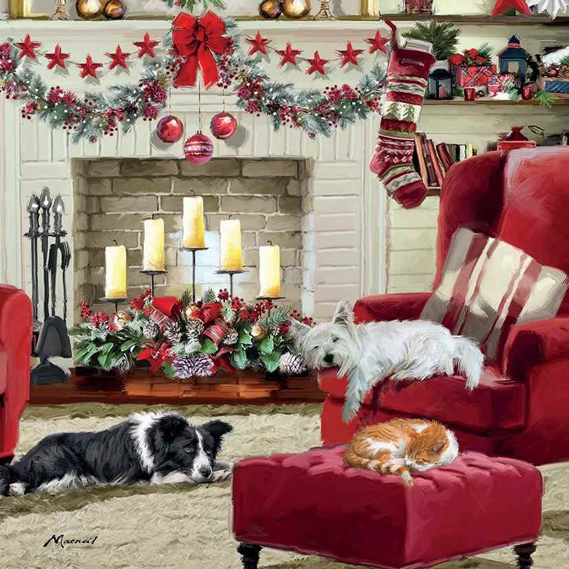 Christmas Cards – RSPCA Shop